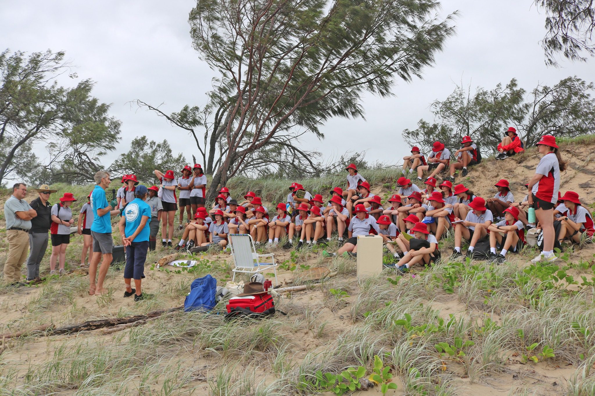 A little STEAM is always a good thing! | Mackay and District Turtle Watch