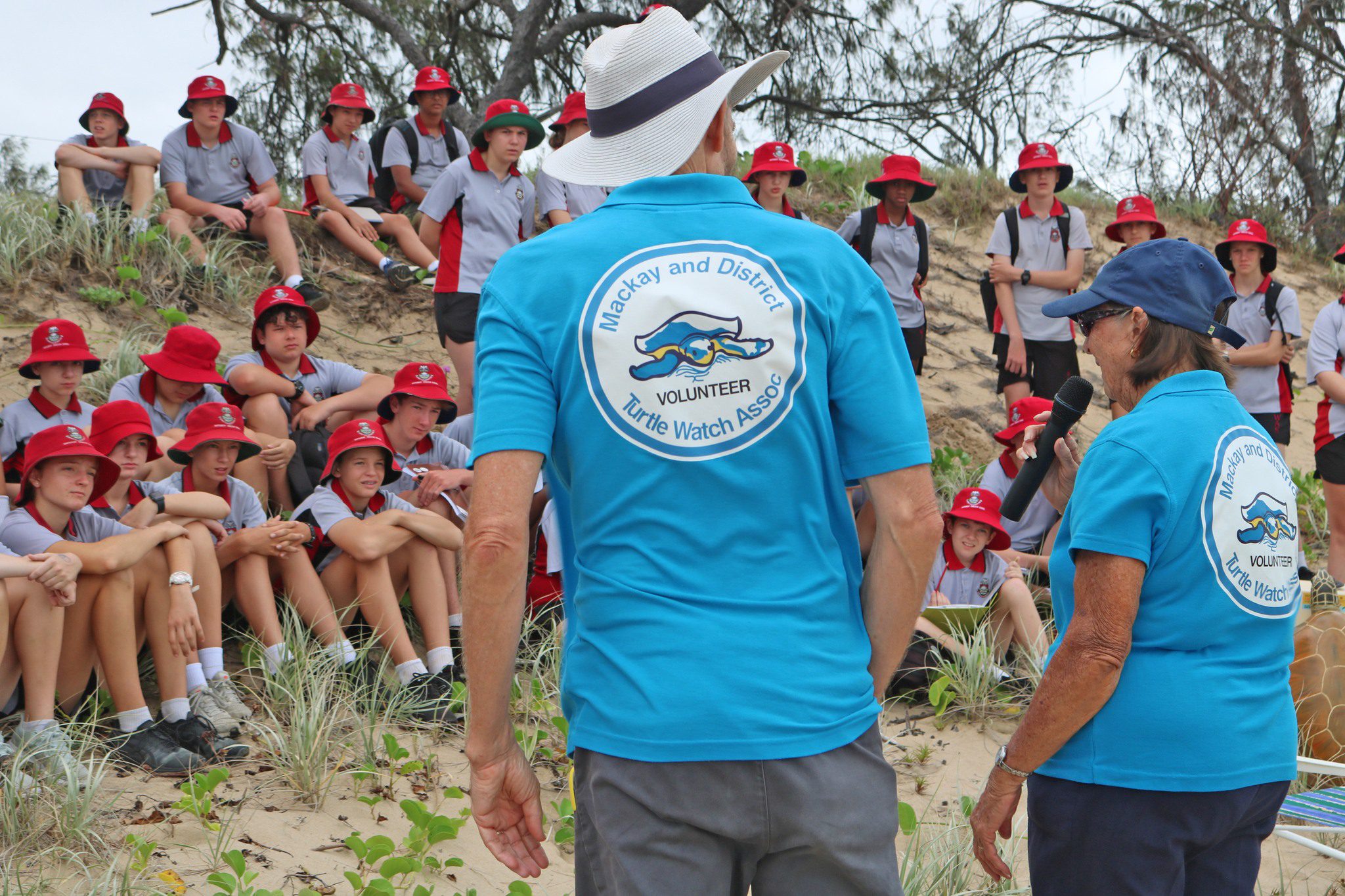 A little STEAM is always a good thing! | Mackay and District Turtle Watch