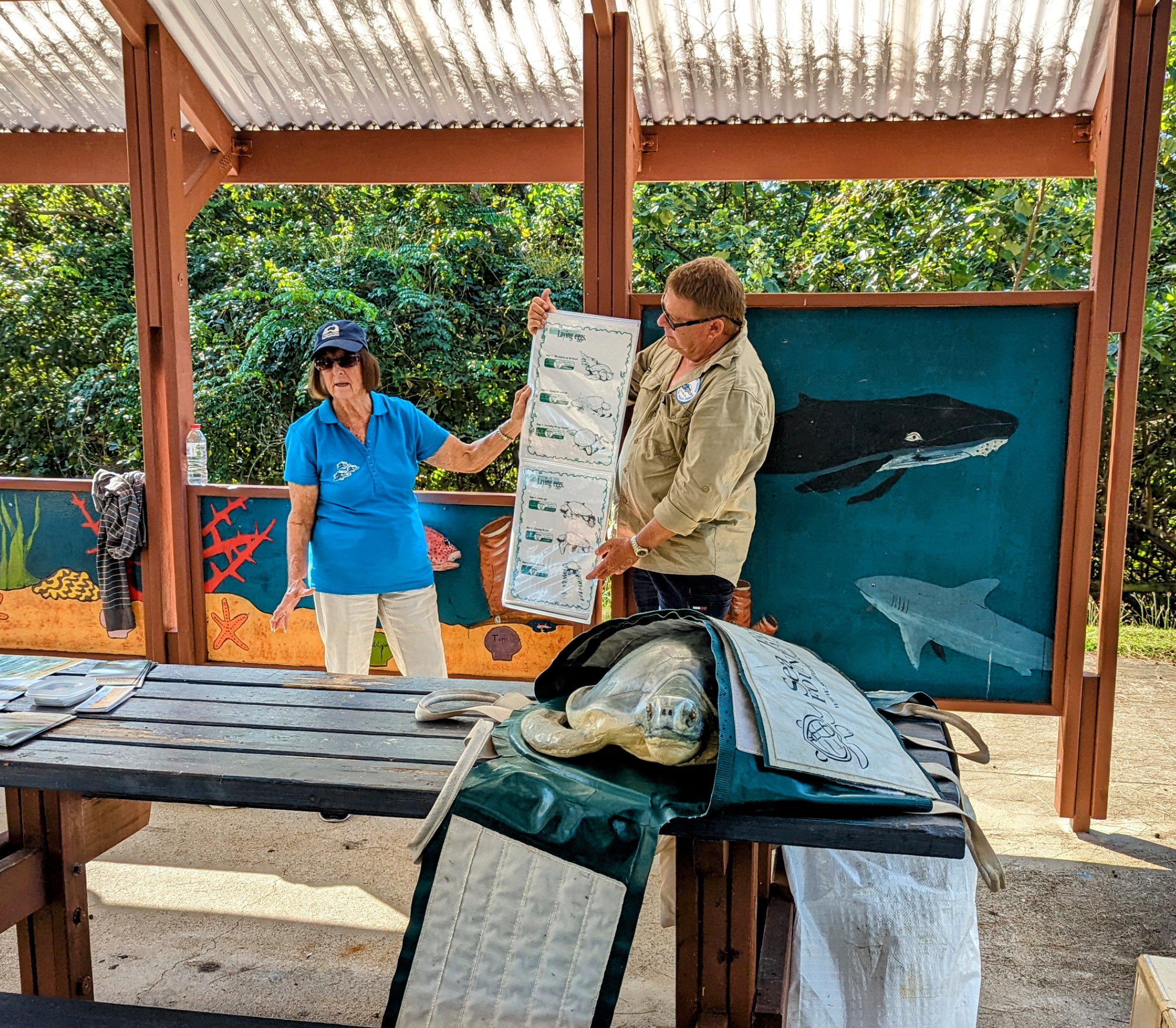 Beach Walks | Mackay and District Turtle Watch